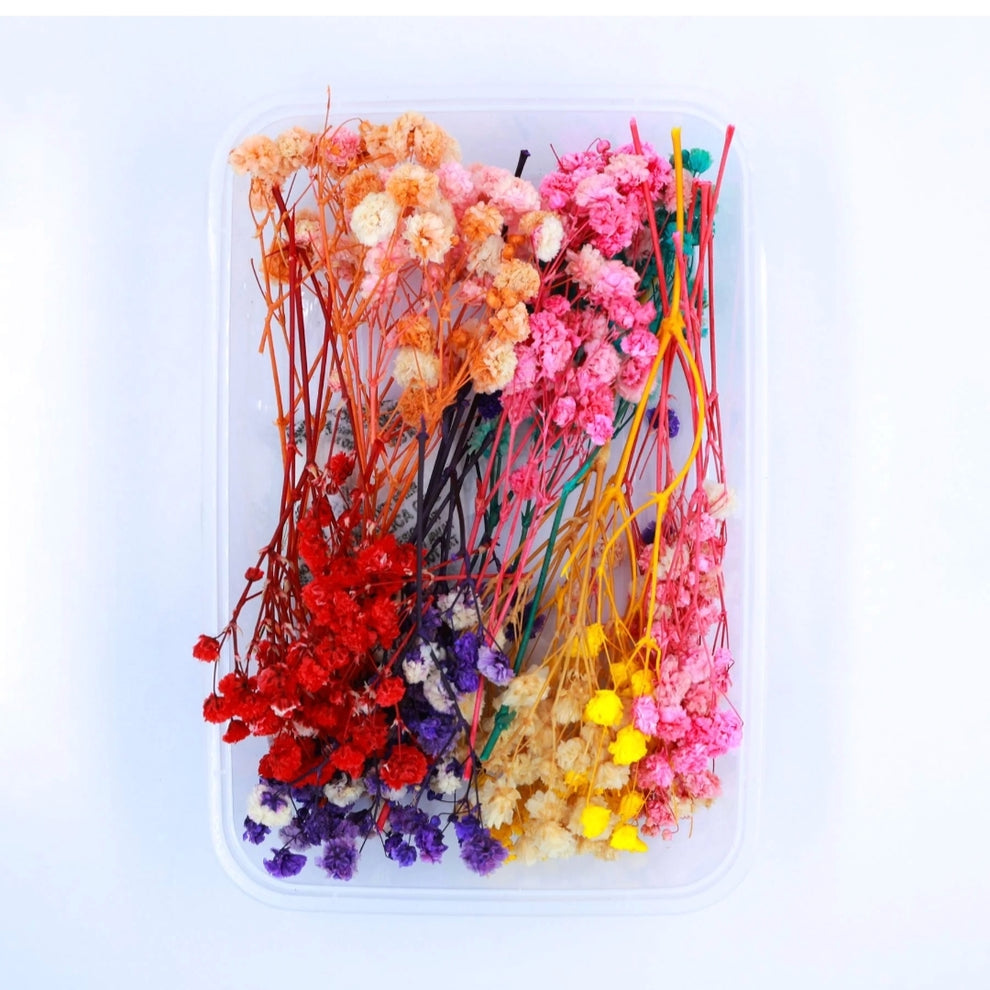 Baby breath/Gypsy dry flowers - multi colour – Maya Resin Store