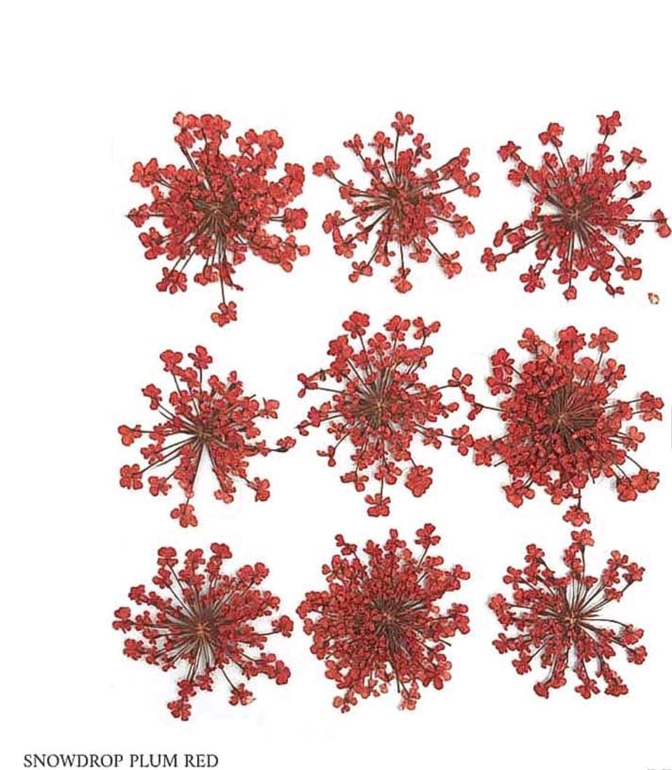 Pressed baby breads red – Maya Resin Store